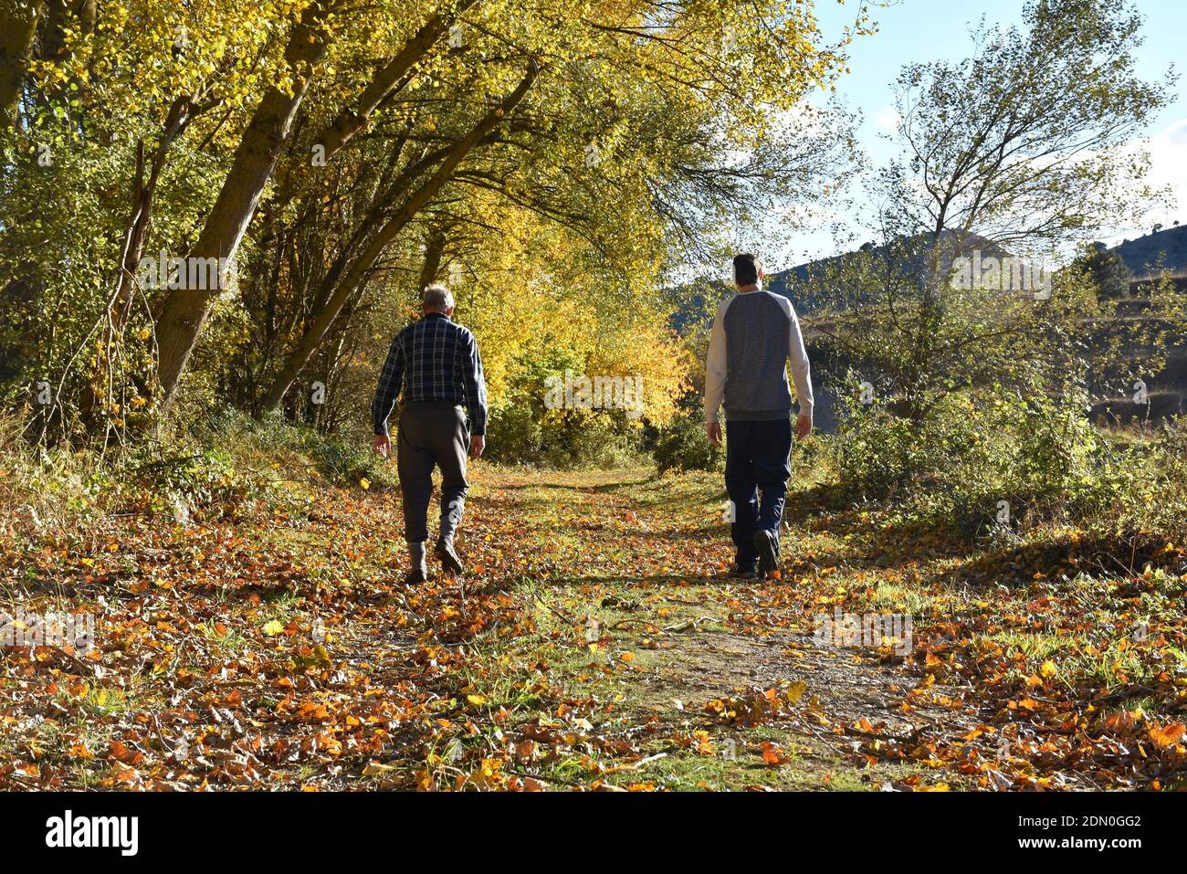 Father And Son Walking At Sunset Along Country Road Next To Trees