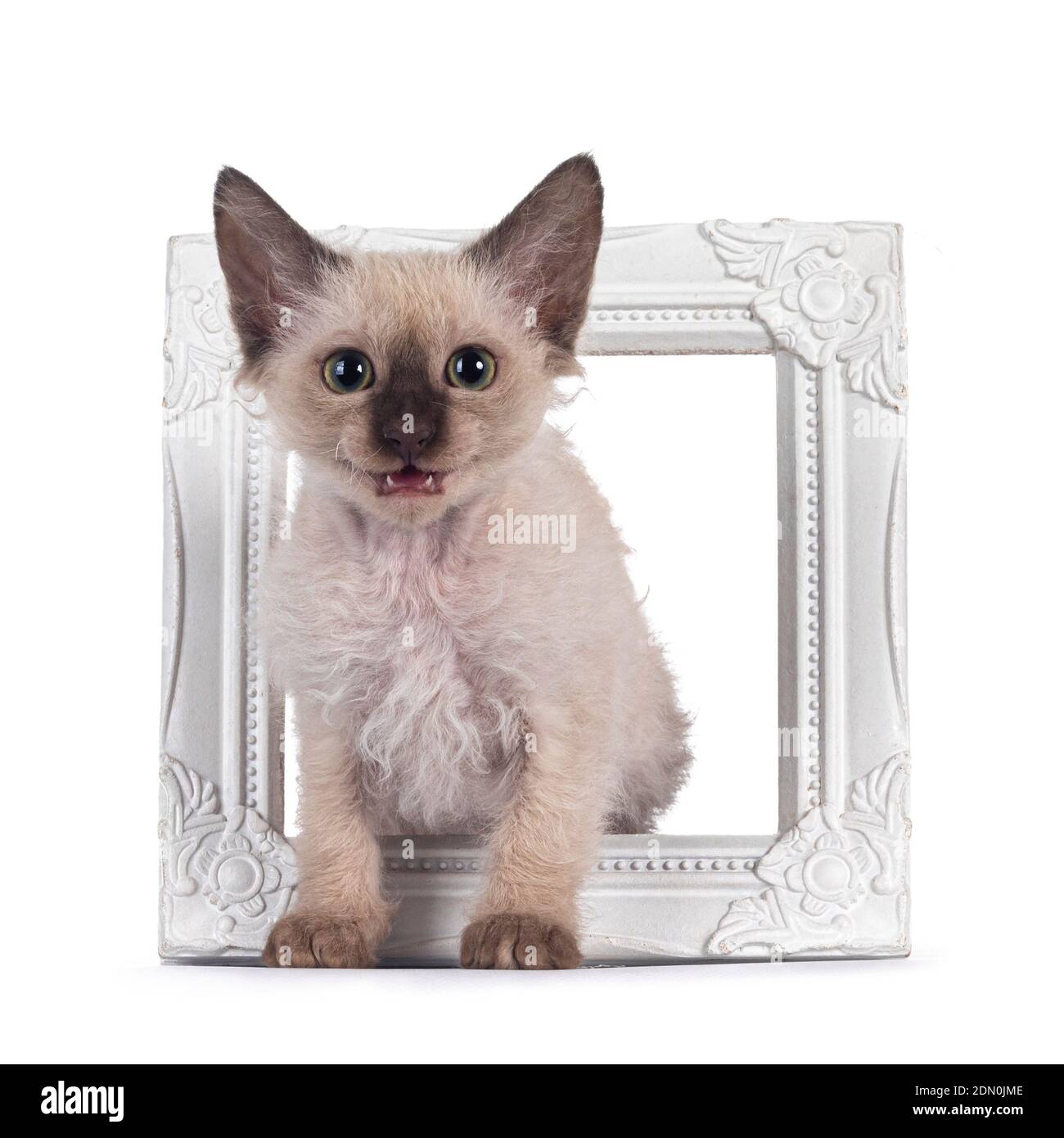 Photo camera sweet smile Cut Out Stock Images & Pictures - Alamy