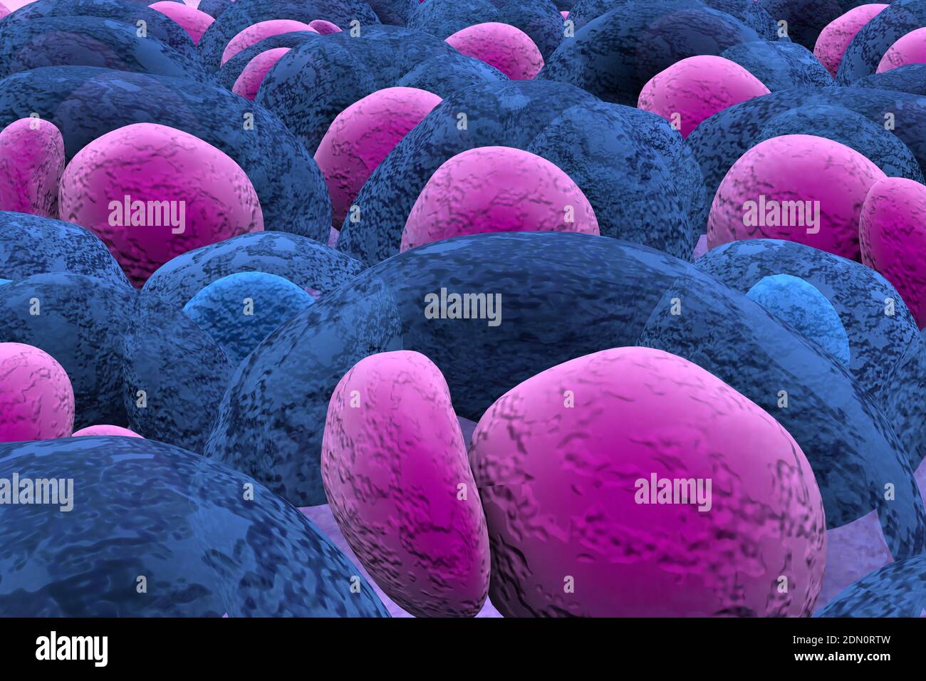 Myeloma multiplex leukemia cancer 3d color render illustration closeup ...