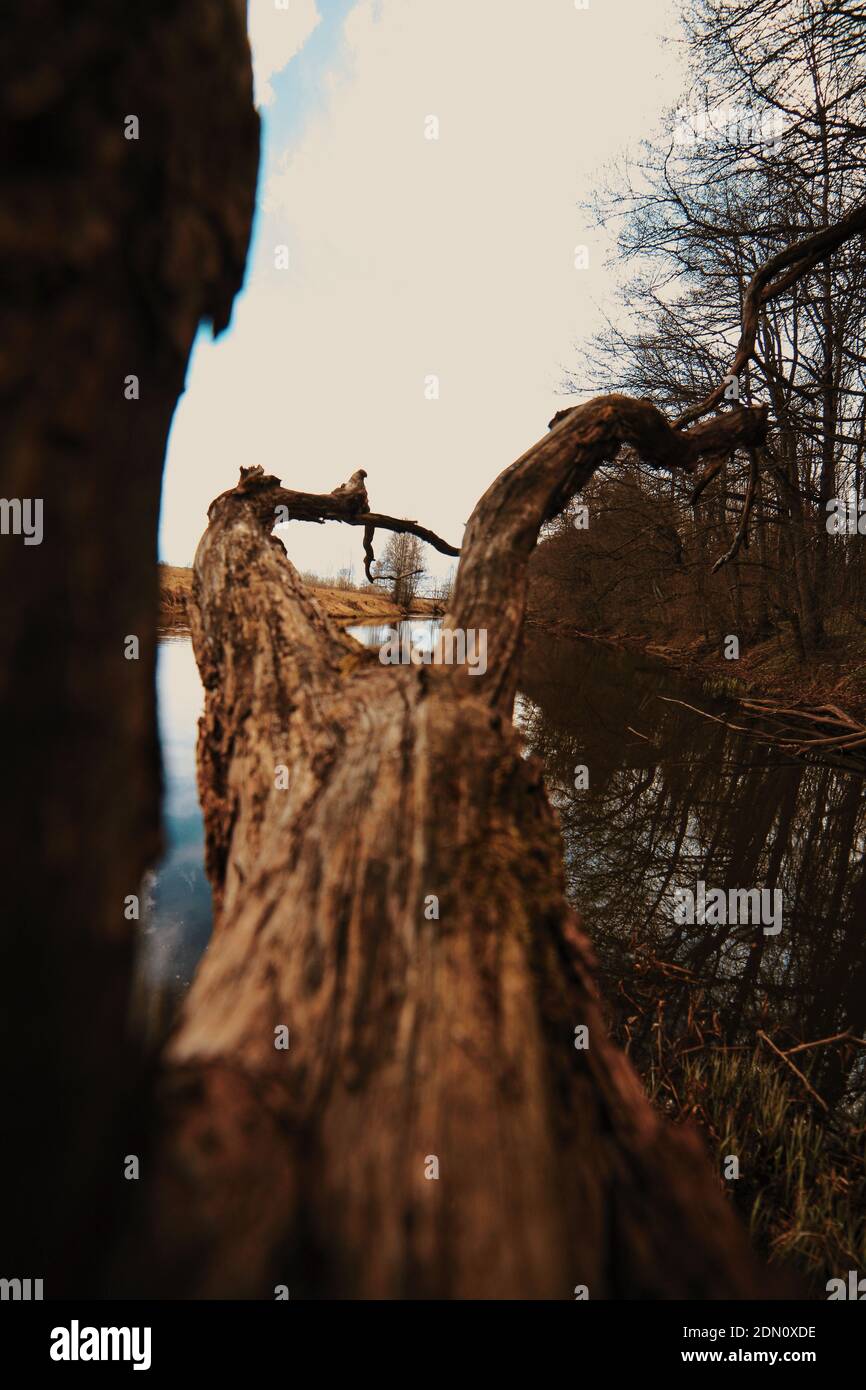 Barbed wooden barricade hi-res stock photography and images - Alamy