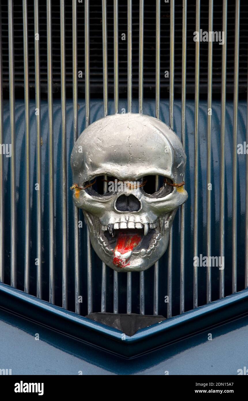 Scary Human Skull with Red Tongue on Car Front Grill Vertical Stock ...