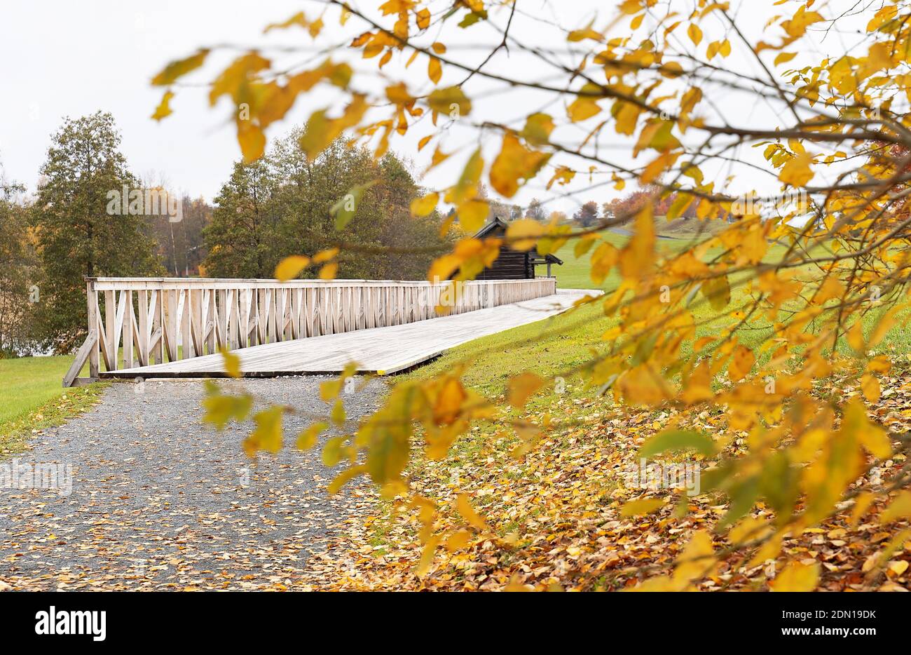 Autumn colorful trees and wooden paved walk landscape. Fall nature ...