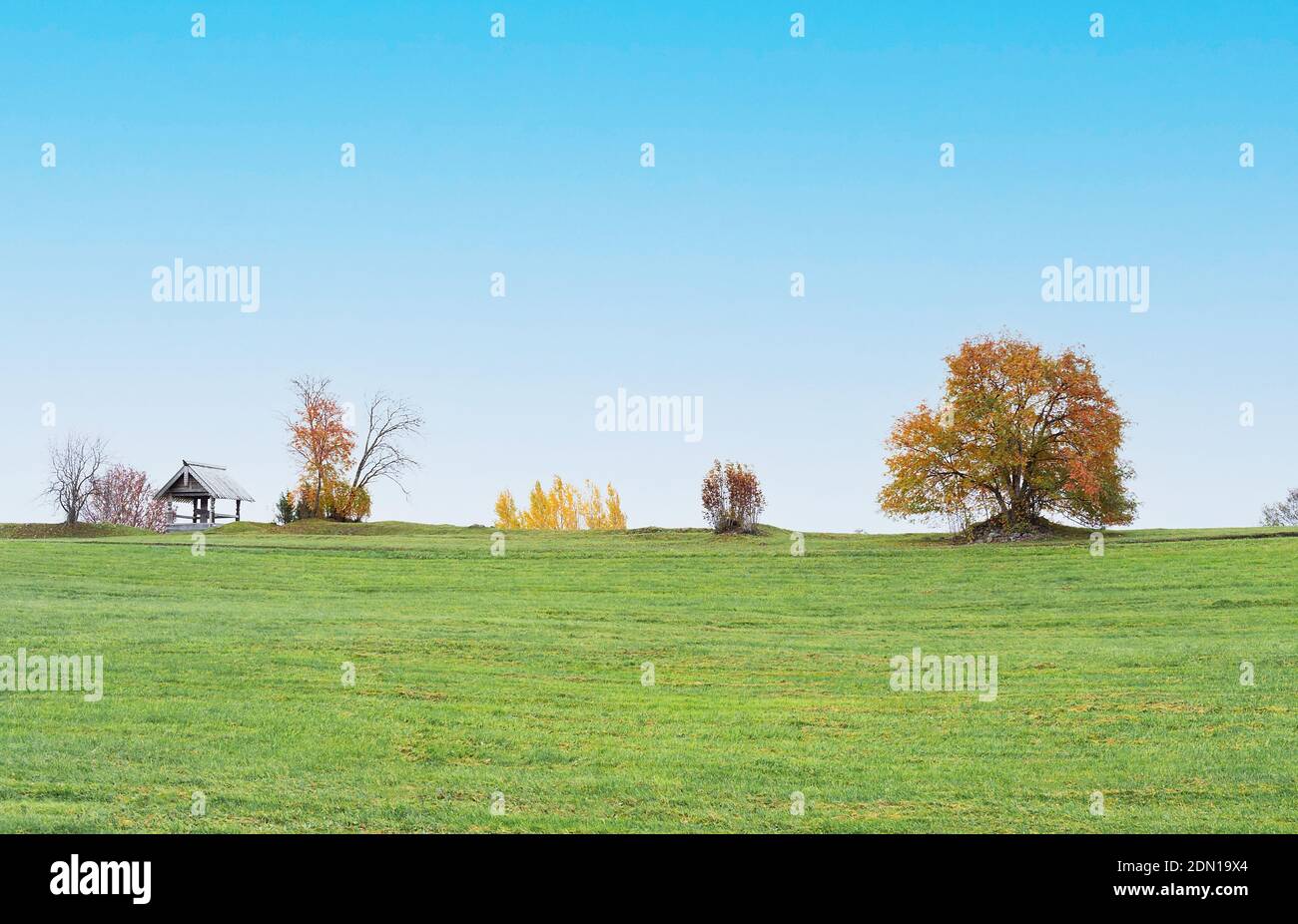 Autumn colorful trees landscape on blue sky background. Fall nature ...