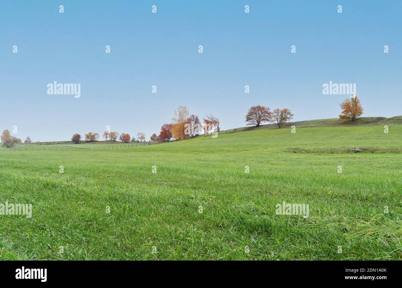 Autumn colorful trees landscape on blue sky background. Fall nature ...