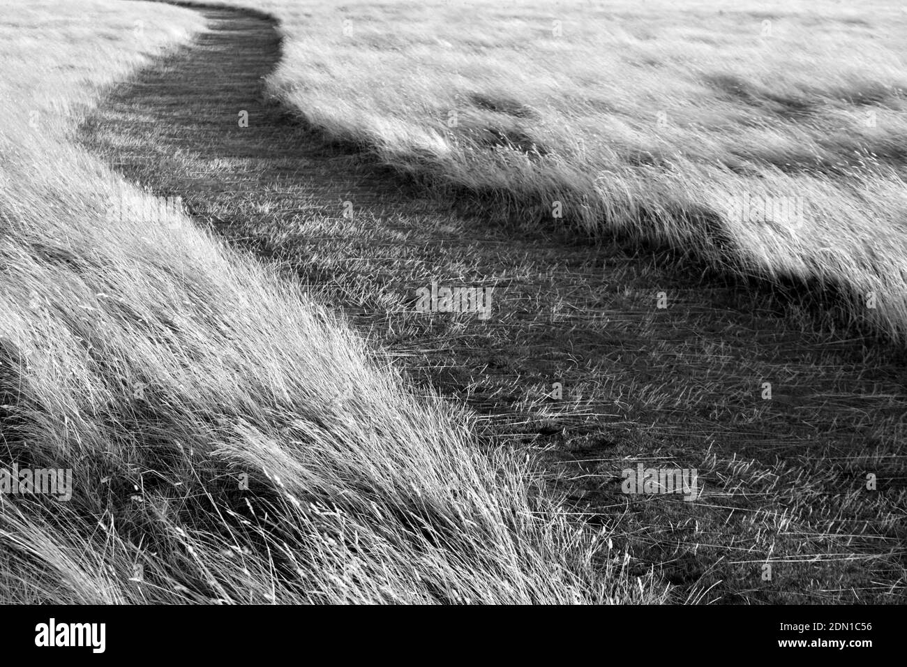Winding path black white hi-res stock photography and images - Alamy