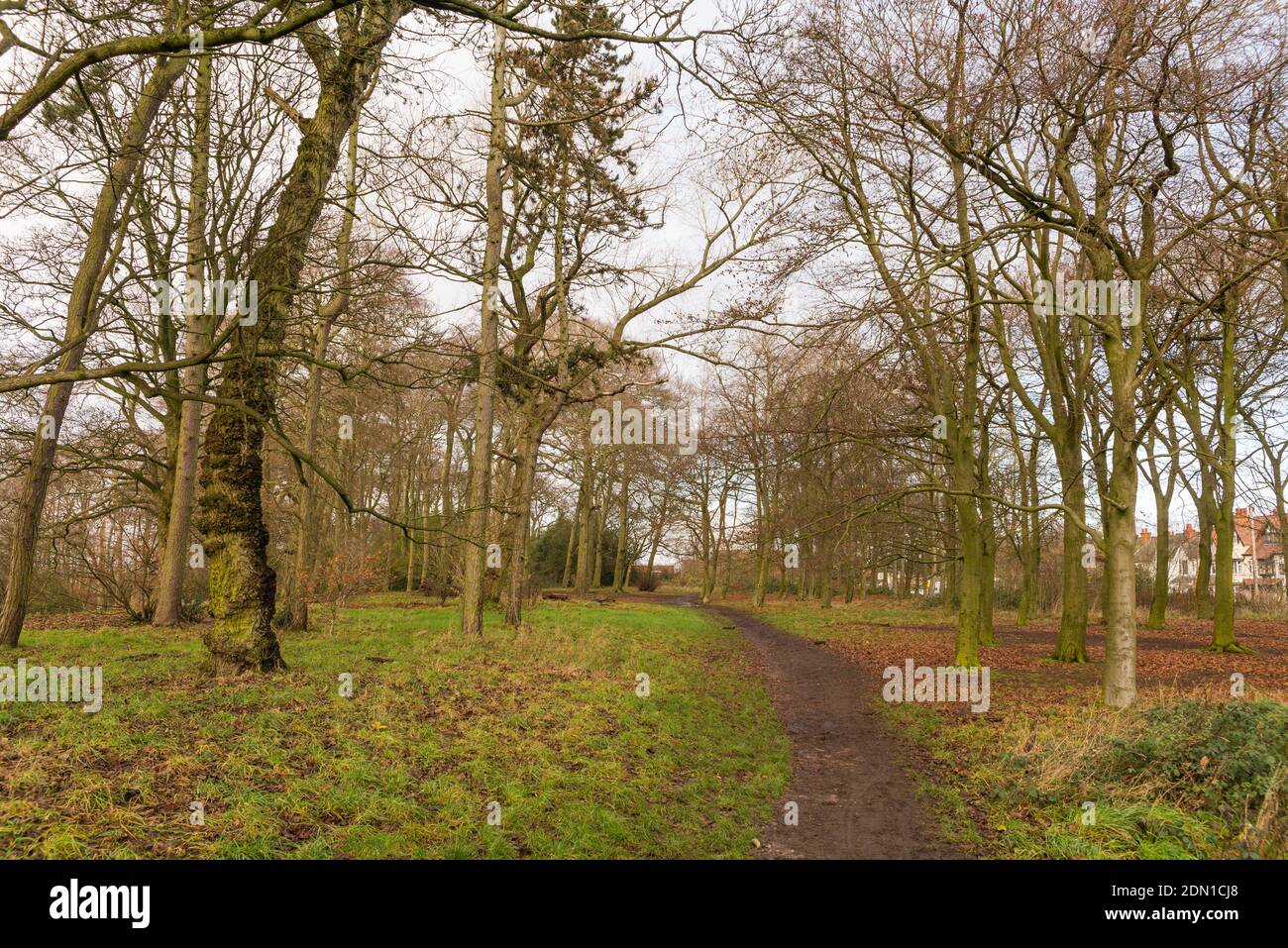 Warley park hi-res stock photography and images - Alamy