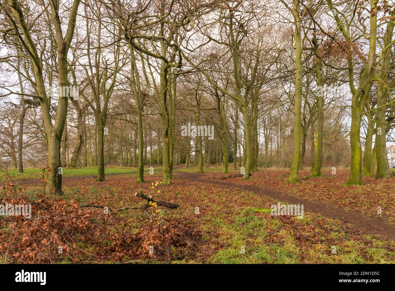 Warley park hi-res stock photography and images - Alamy