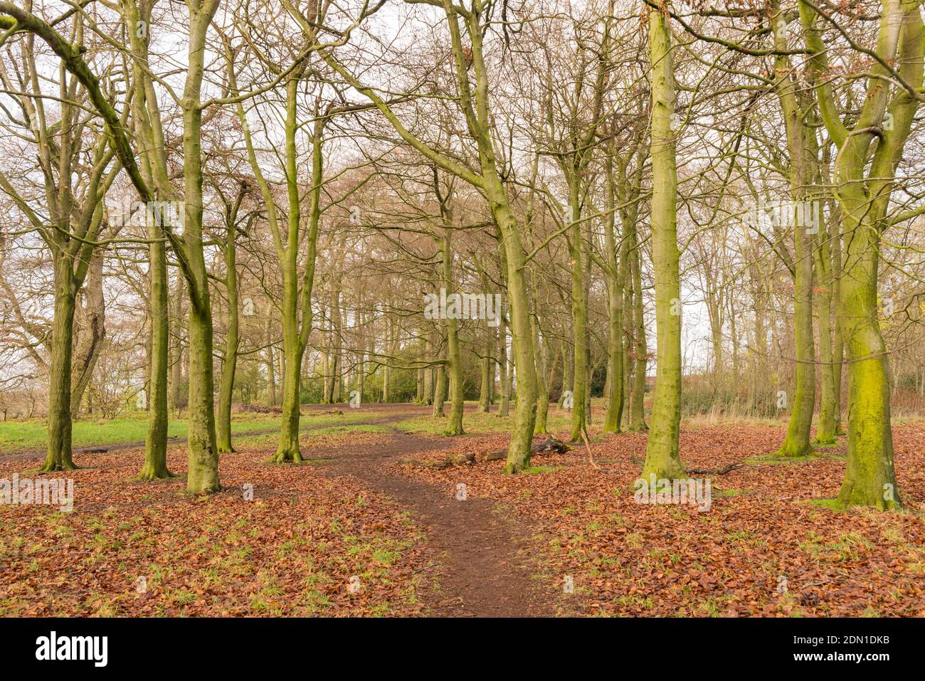 Warley park hi-res stock photography and images - Alamy