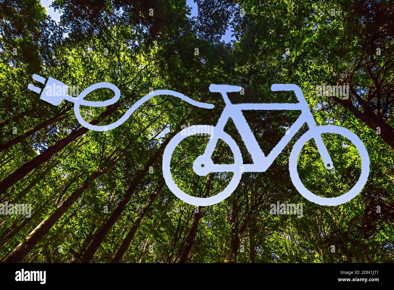 View into the Canopy of a Forest Combined with the Shape of an Electric ...
