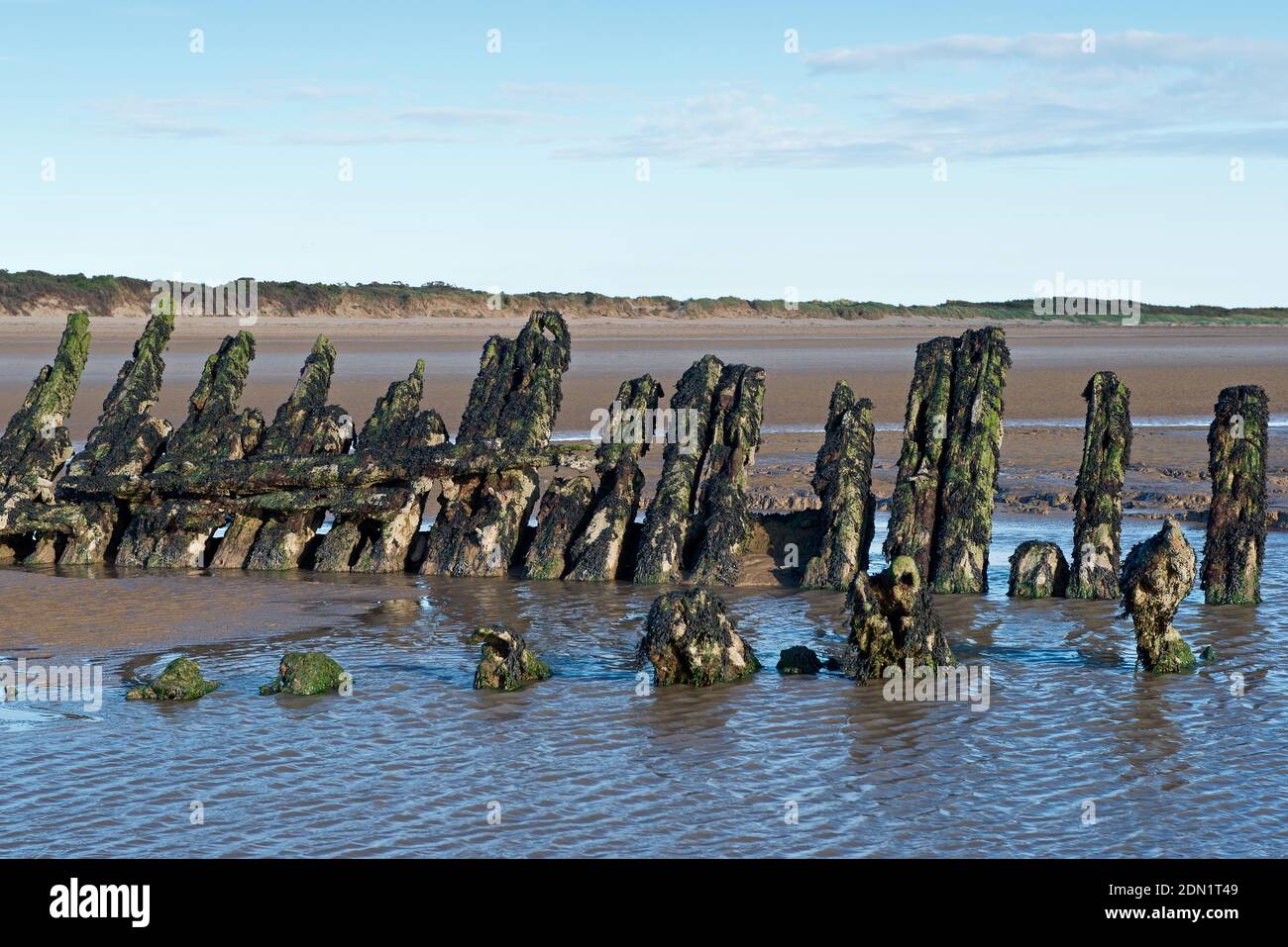 The wooden remains of the wreck of the Norwegian barque SS Nornen (1897 ...