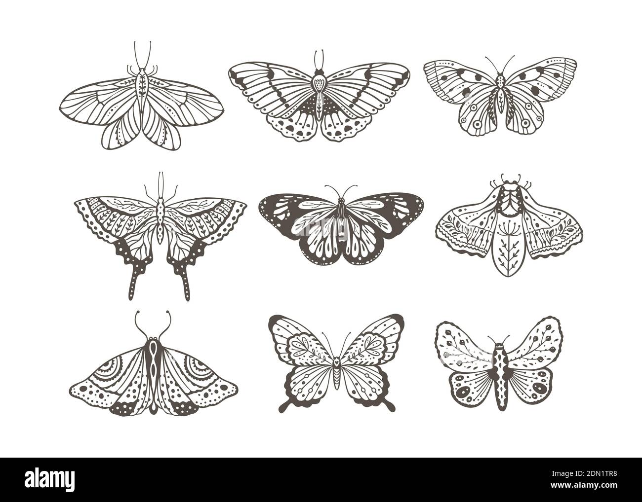 Boho vintage vector art design with bohemian butterfly. Isolated insect ...