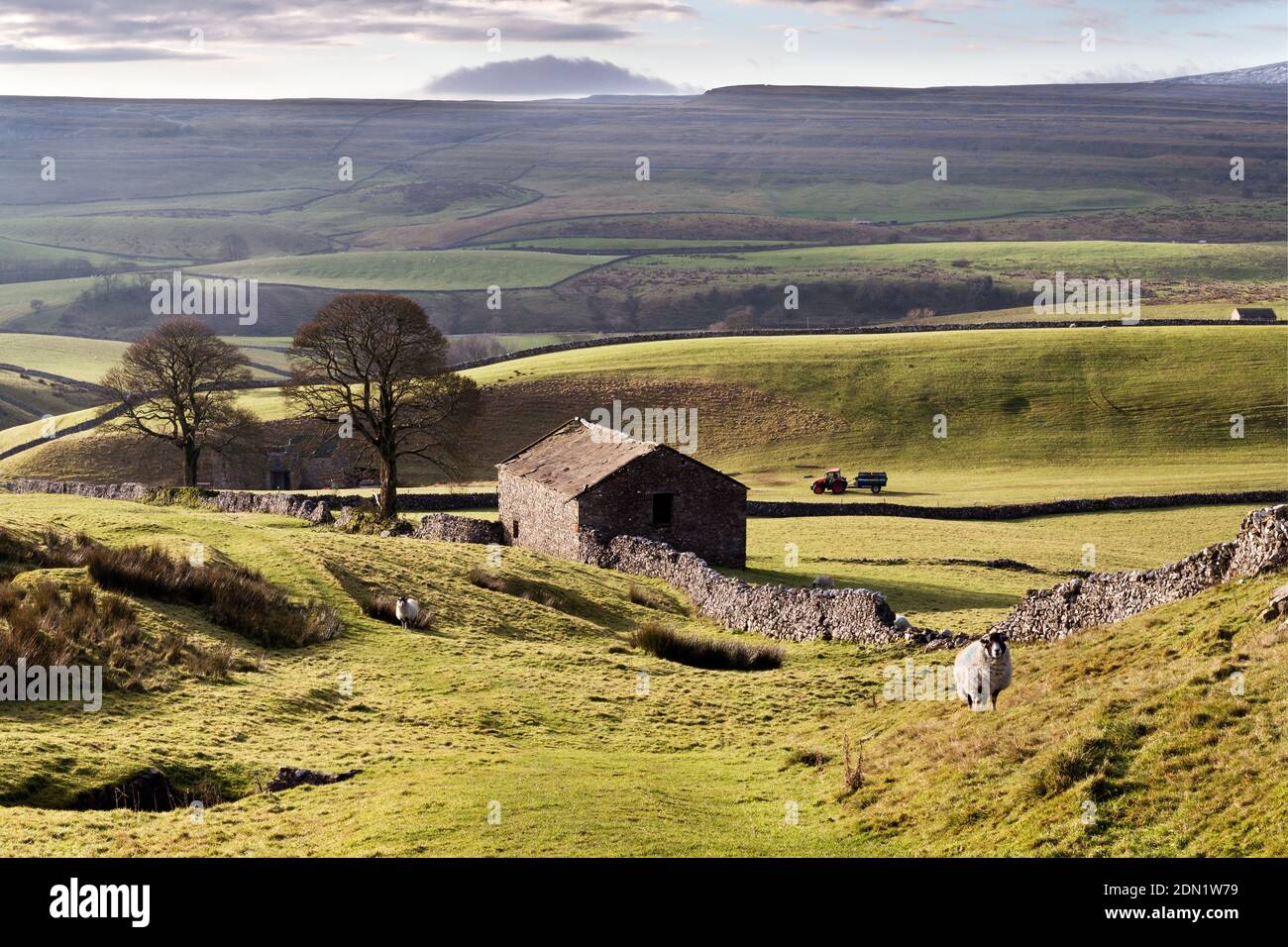 Dales farming agriculture hi-res stock photography and images - Alamy