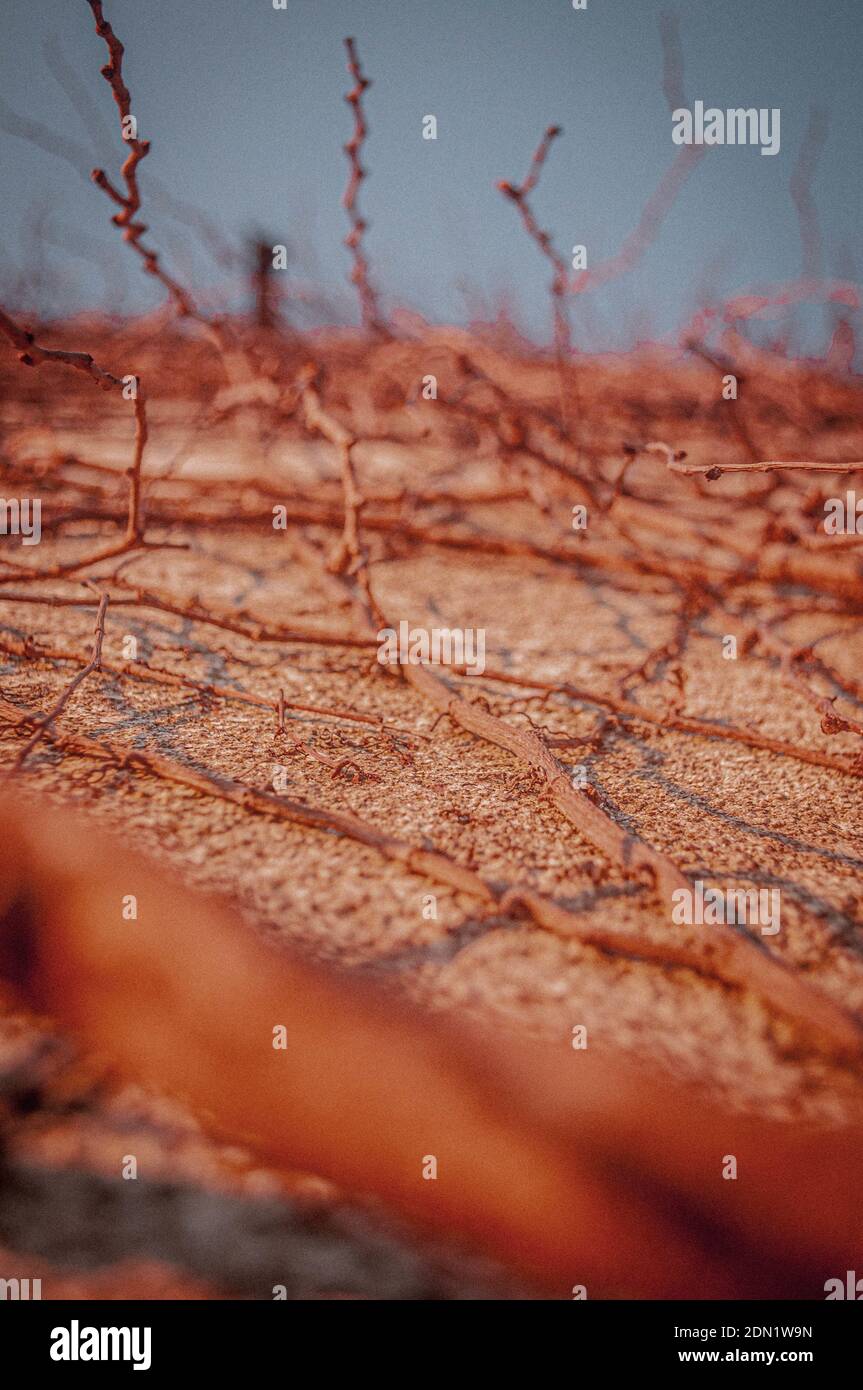 Ground landscapes hi-res stock photography and images - Alamy