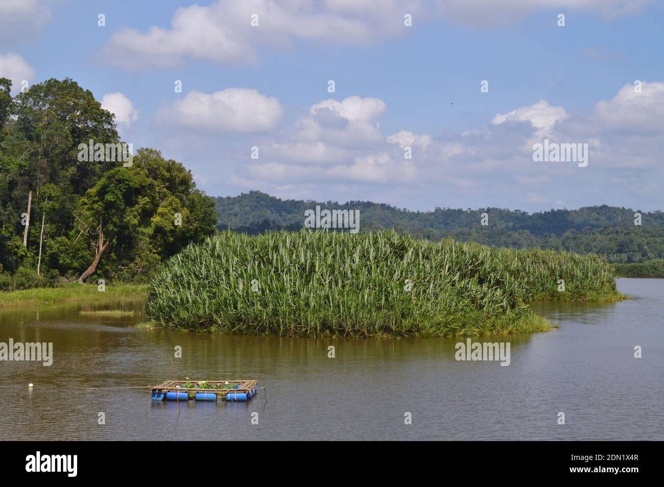 Chini Lake High Resolution Stock Photography and Images - Alamy
