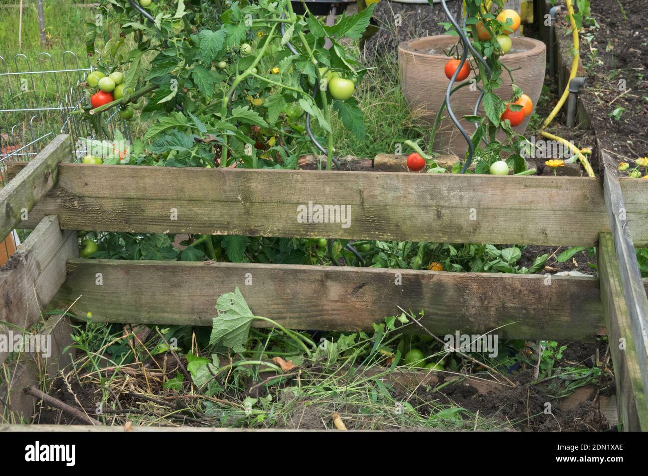 Wooden composter made of planks in an allotment garden, ready to ...