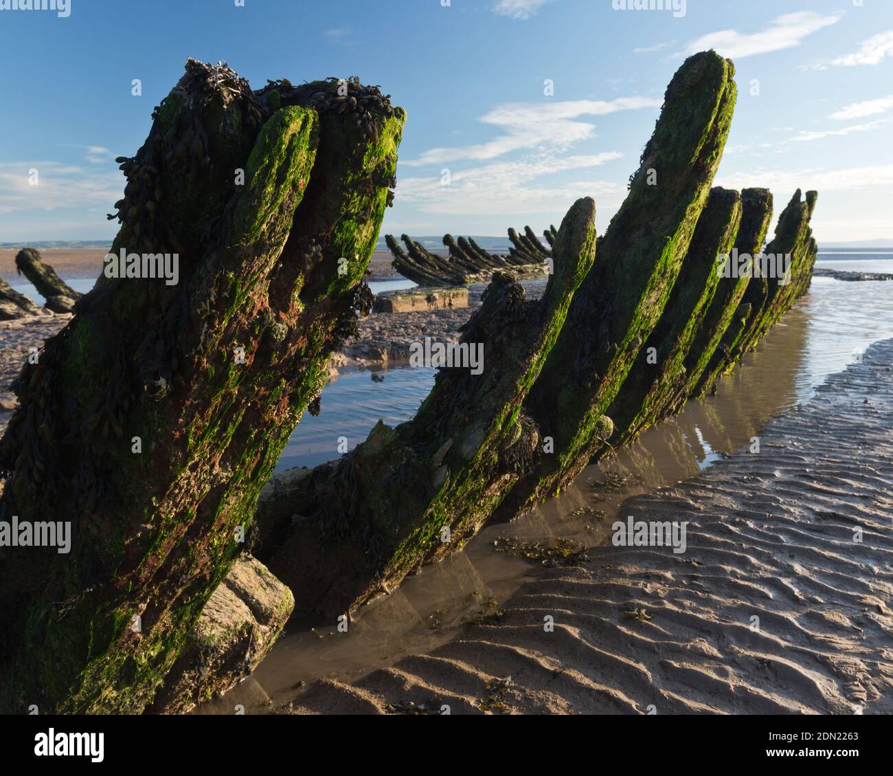The wooden remains of the wreck of the Norwegian barque SS Nornen (1897 ...