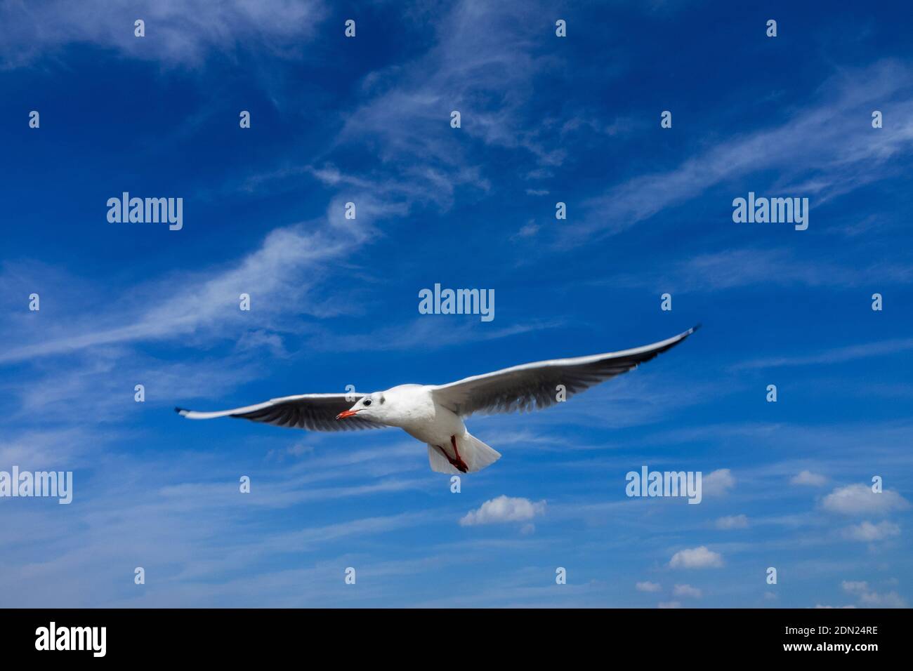 High blue hi-res stock photography and images - Alamy