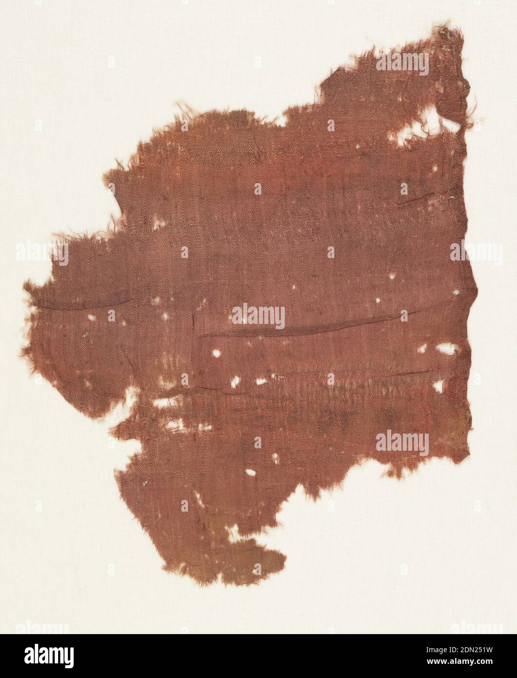 Fine outlines hi-res stock photography and images - Alamy