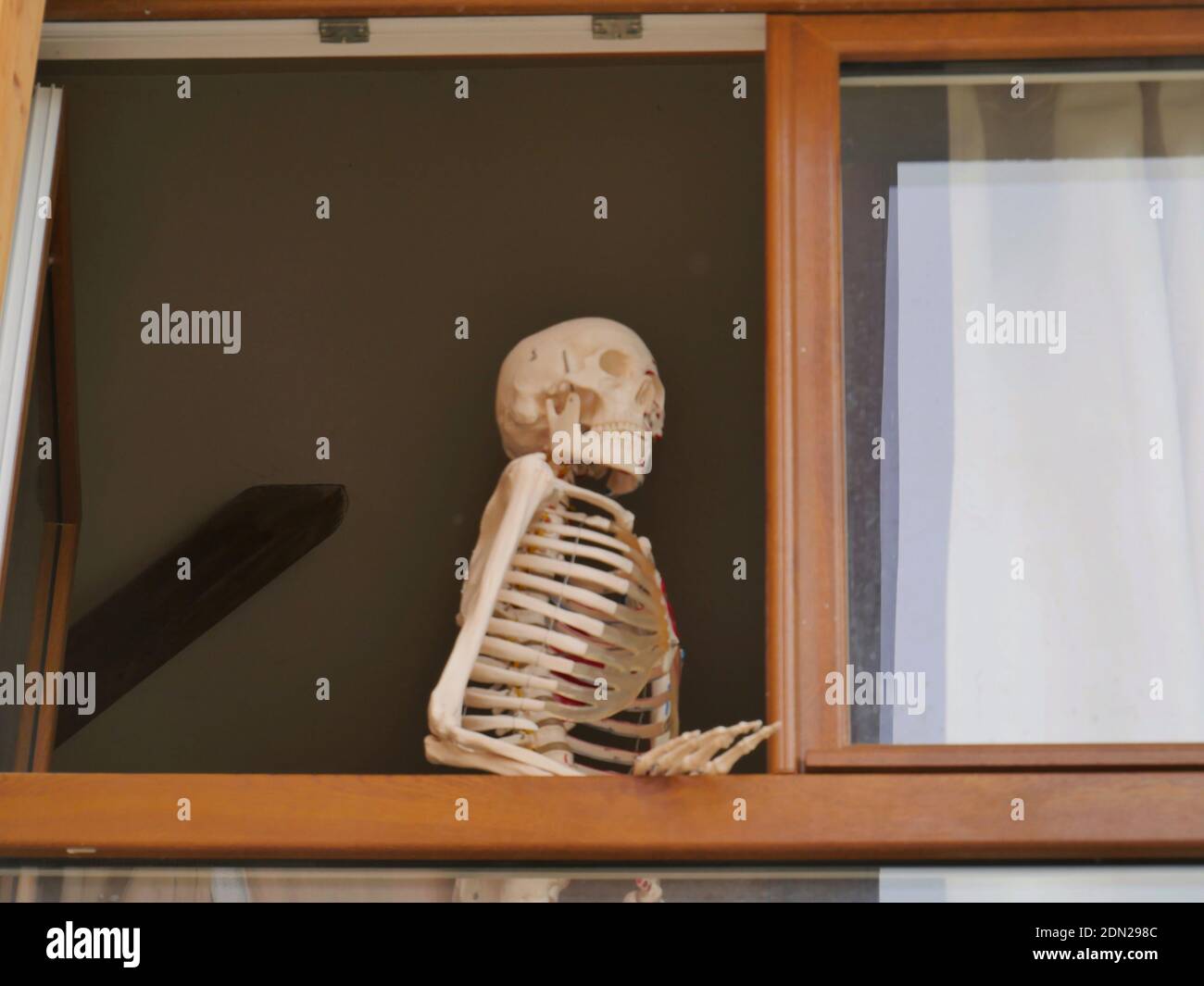 House of the skeleton hi-res stock photography and images - Alamy