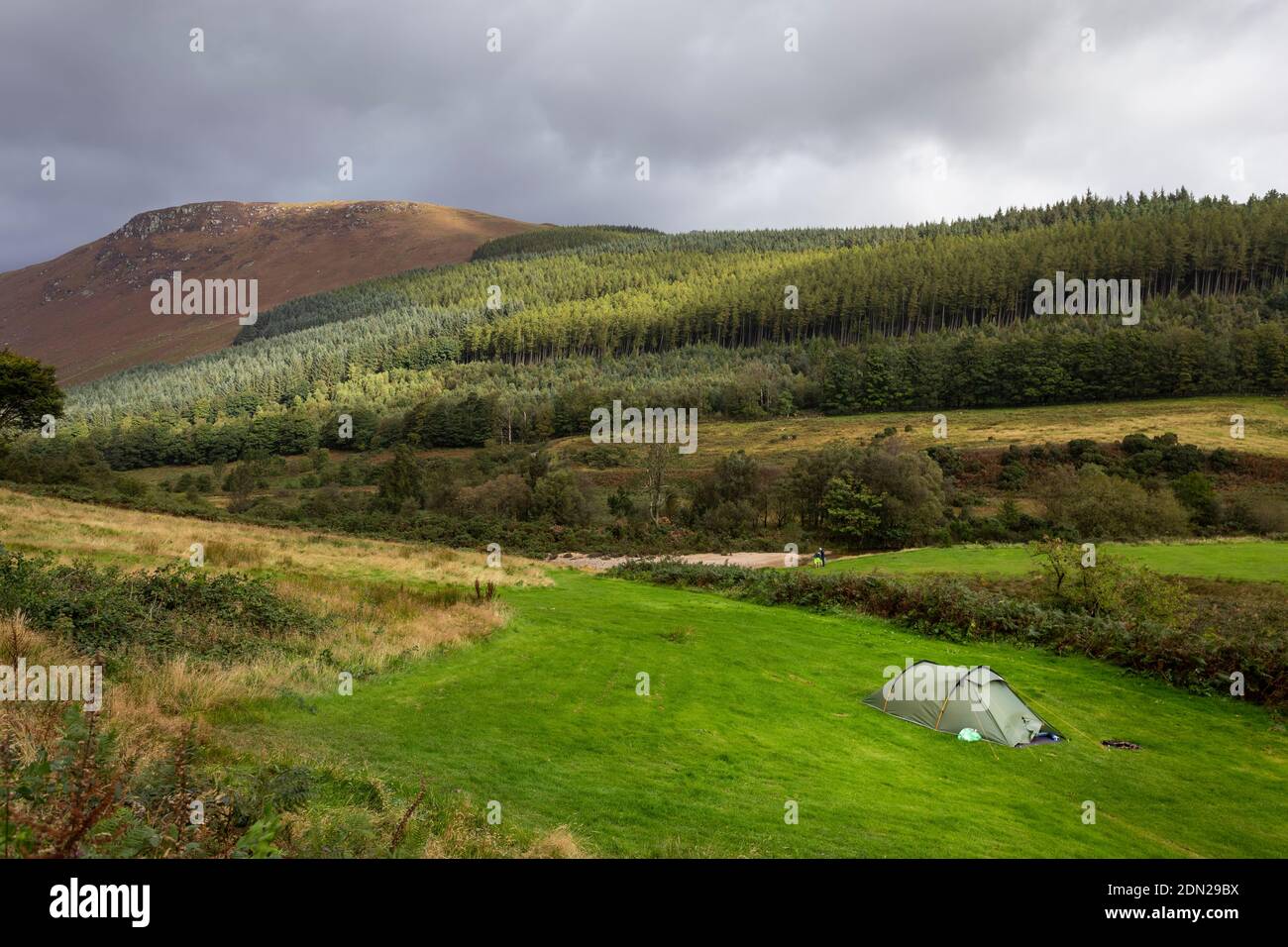 green tent in a green field on Arran Stock Photo - Alamy