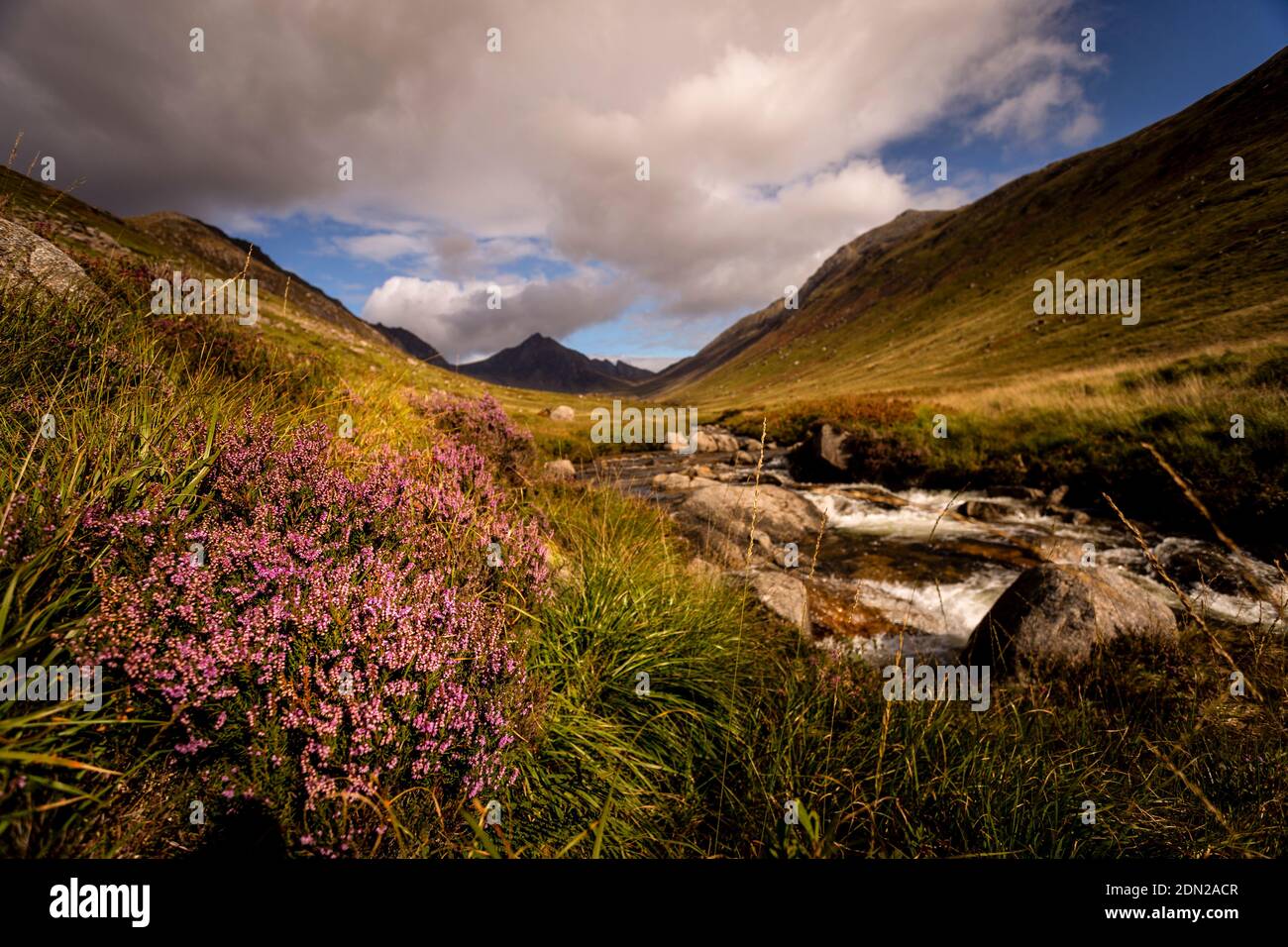 stream going through Glen Rosa on Arran Stock Photo - Alamy