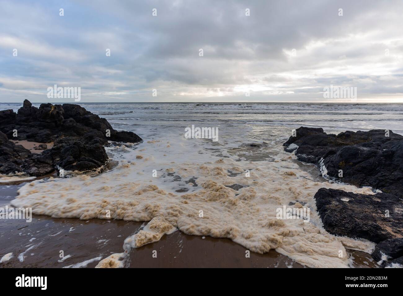 Algal foam on beach hi-res stock photography and images - Alamy