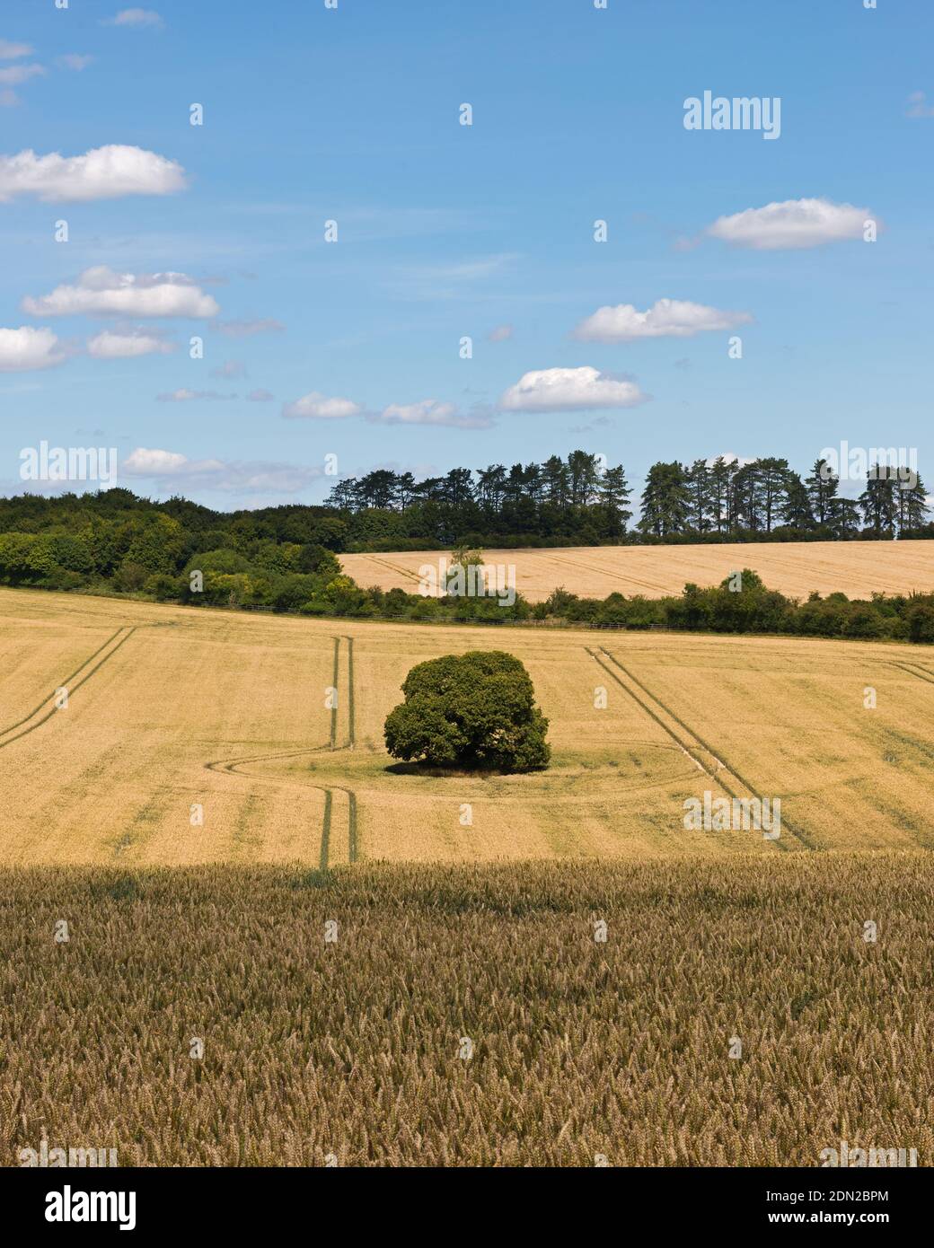 East knoyle hi-res stock photography and images - Alamy