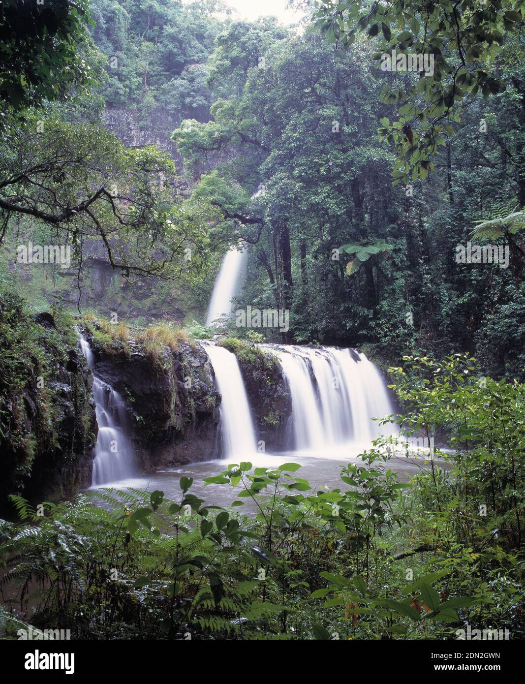 Australia. Far North Queensland. Palmerston section of Wooroonooran ...