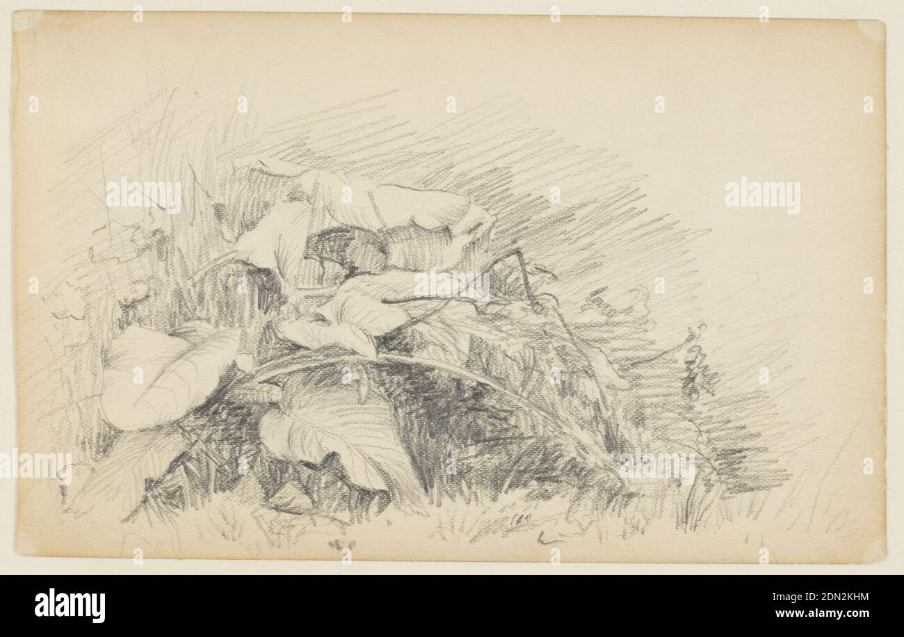 Walter edge hi-res stock photography and images - Alamy