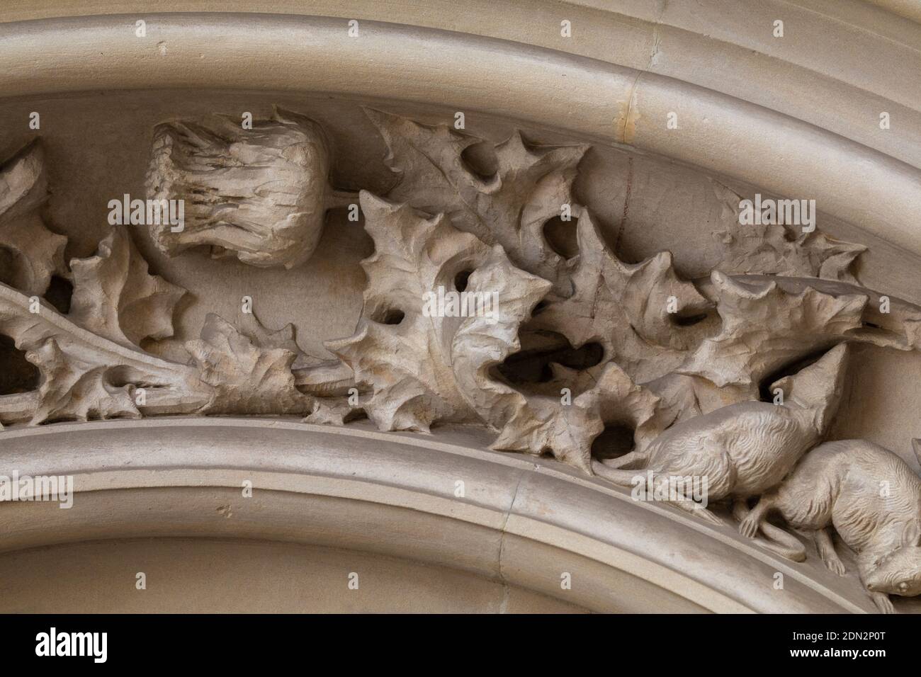 Elements of architectural decoration of buildings, plaster stucco, wall ...
