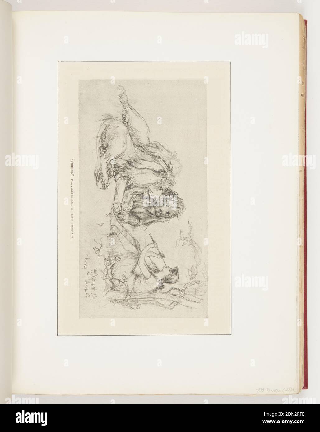 Lions Illustration High Resolution Stock Photography and Images - Alamy