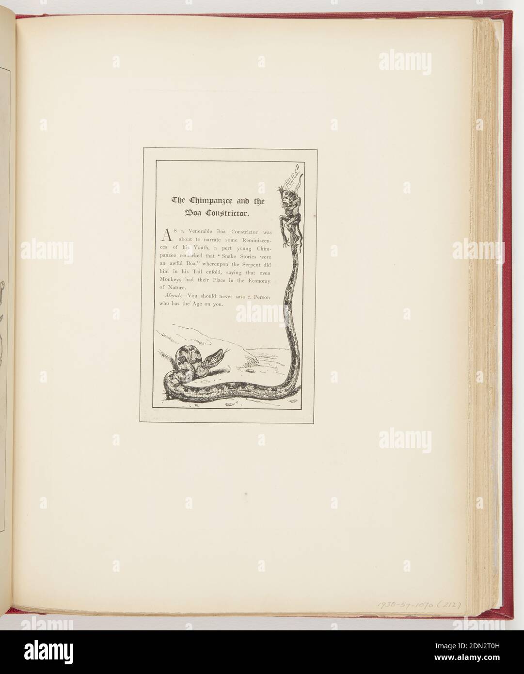 Snake profile hi-res stock photography and images - Alamy