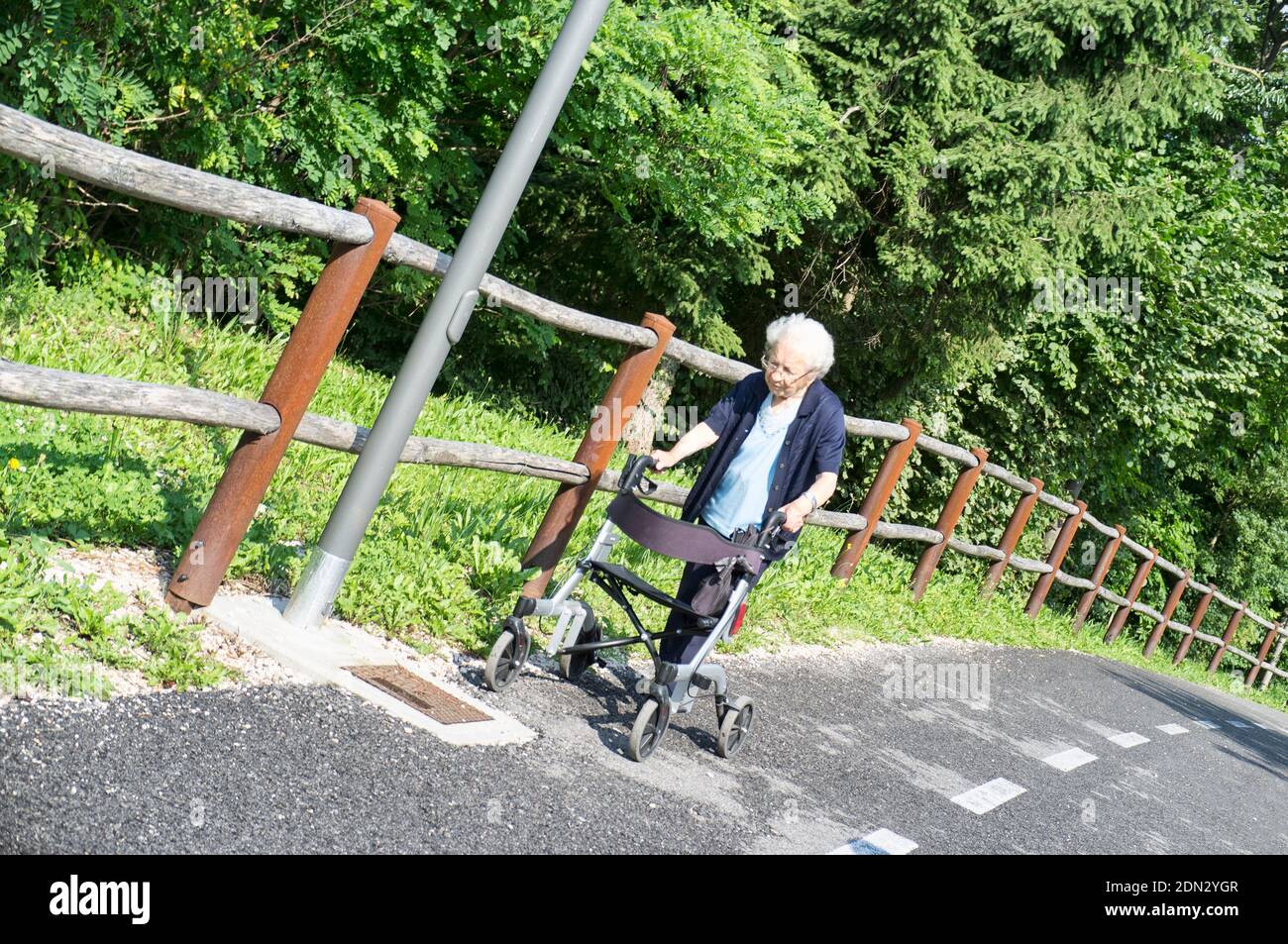 Handicapped senior lady with a walking disability pushing her walker on ...