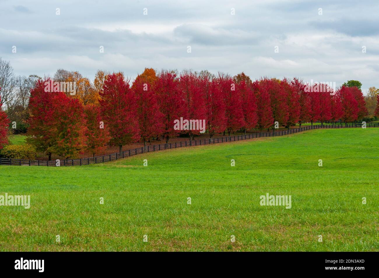 Beautiful Fall Colors Stock Photo - Alamy