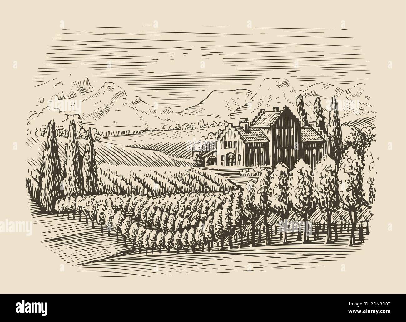 Vineyard landscape. Hand drawn sketch vector illustration Stock Vector Image & Art - Alamy