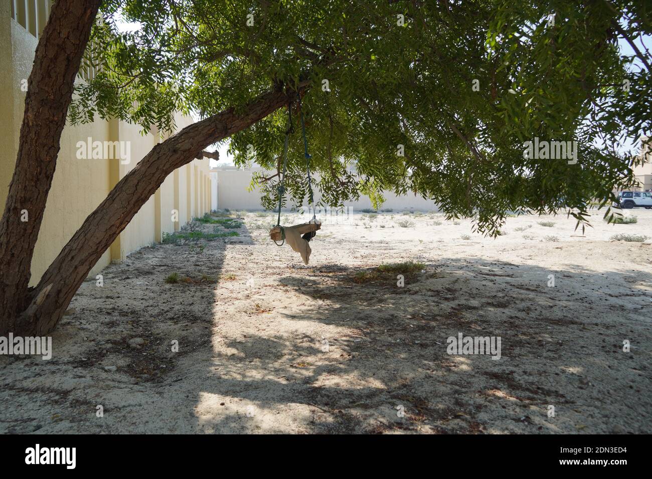 A Dirty Children Tree Swing. Wooden Swing Still Under The Trees In The ...