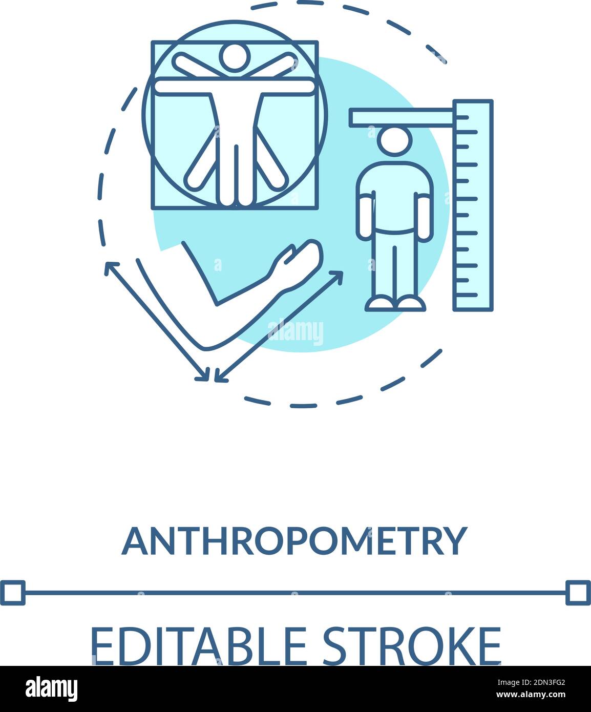 Anthropometry hi-res stock photography and images - Alamy