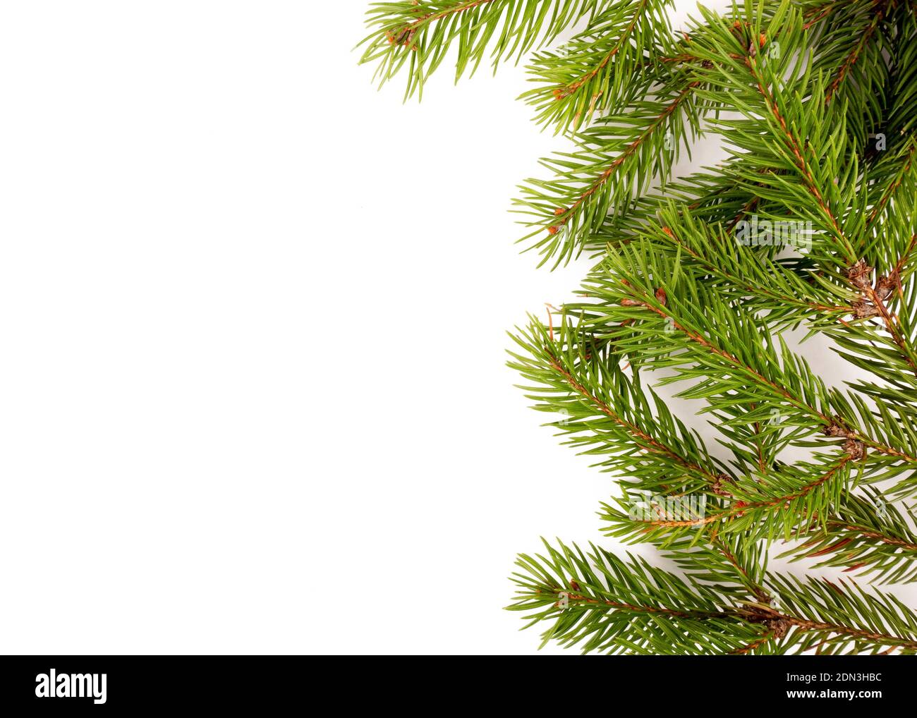 Tree border frame hi-res stock photography and images - Alamy