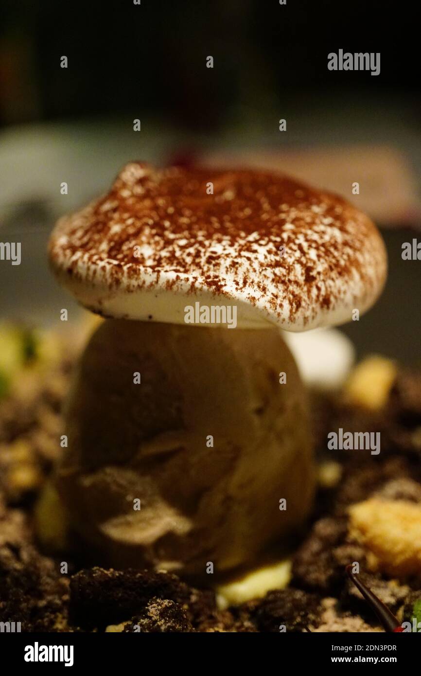 Mushroom shaped ice hi-res stock photography and images - Alamy