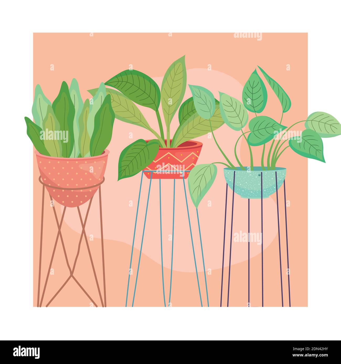 Plants inside pots in frame design of Floral nature garden and ornament ...