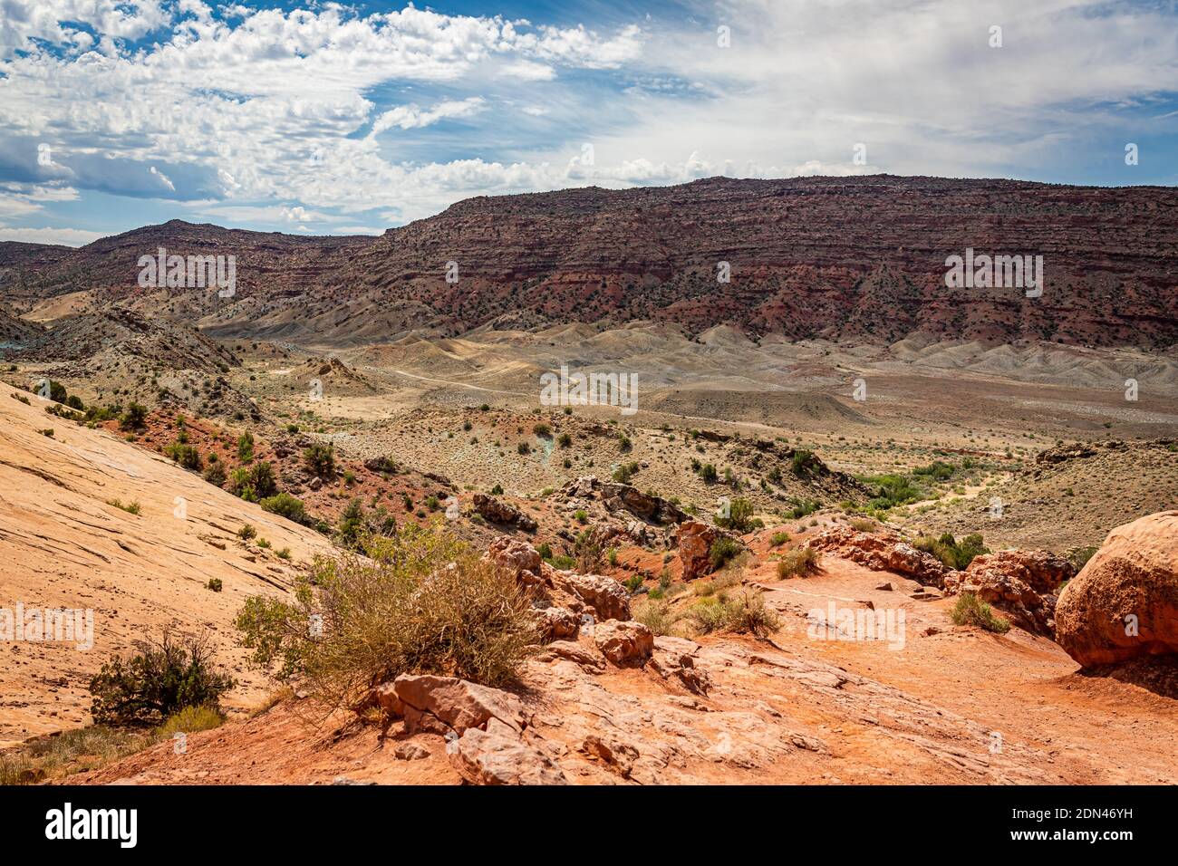 Canyons and eroded sandstone and limestone formations dominate the ...