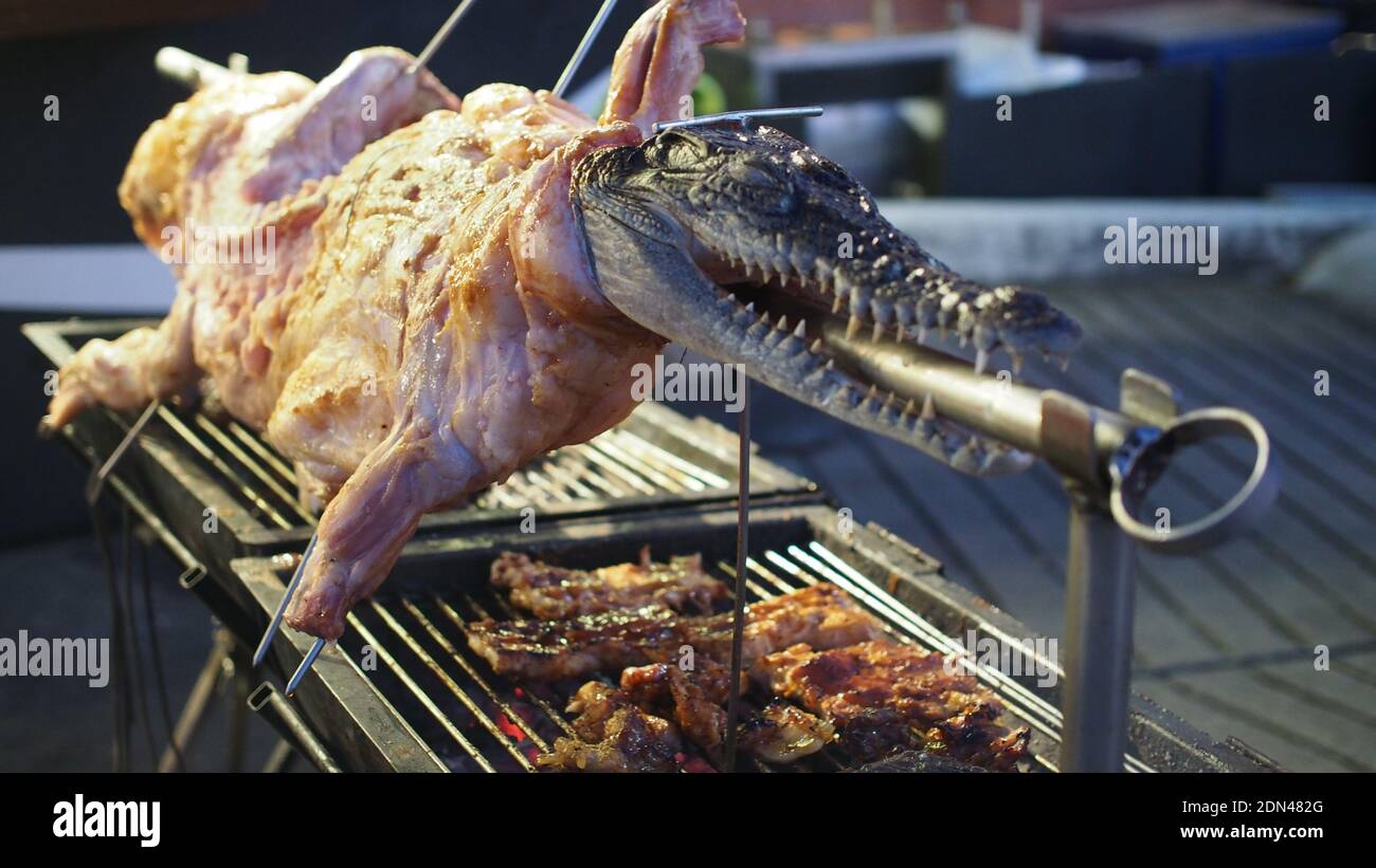 Crocodile on grill hi-res stock photography and images - Alamy