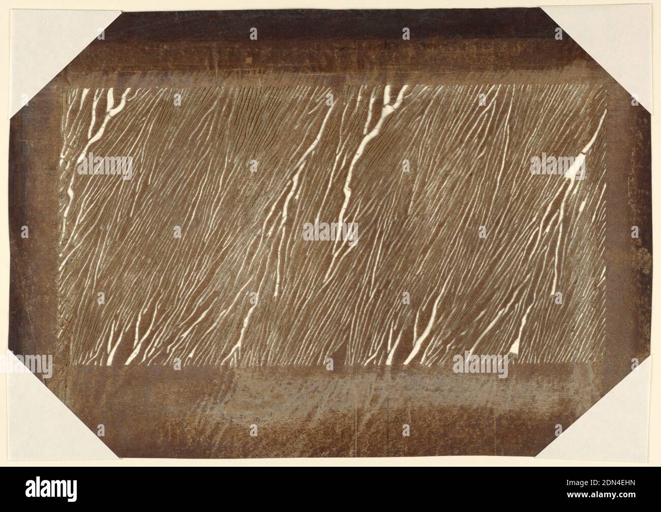 Wood Motif, Mulberry paper (kozo washi) treated with fermented ...