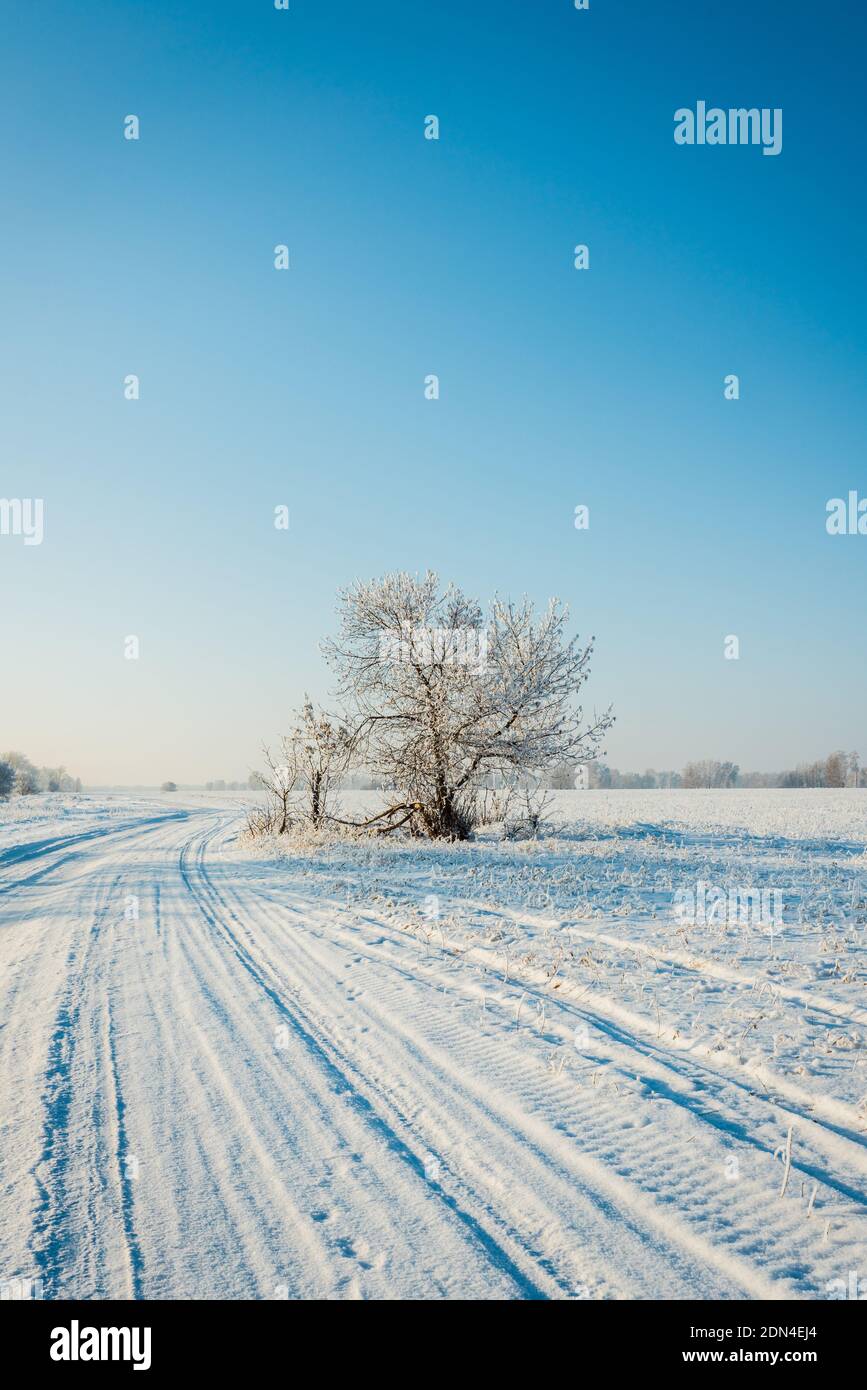 Snow covered winter field with trees and road going through to the ...