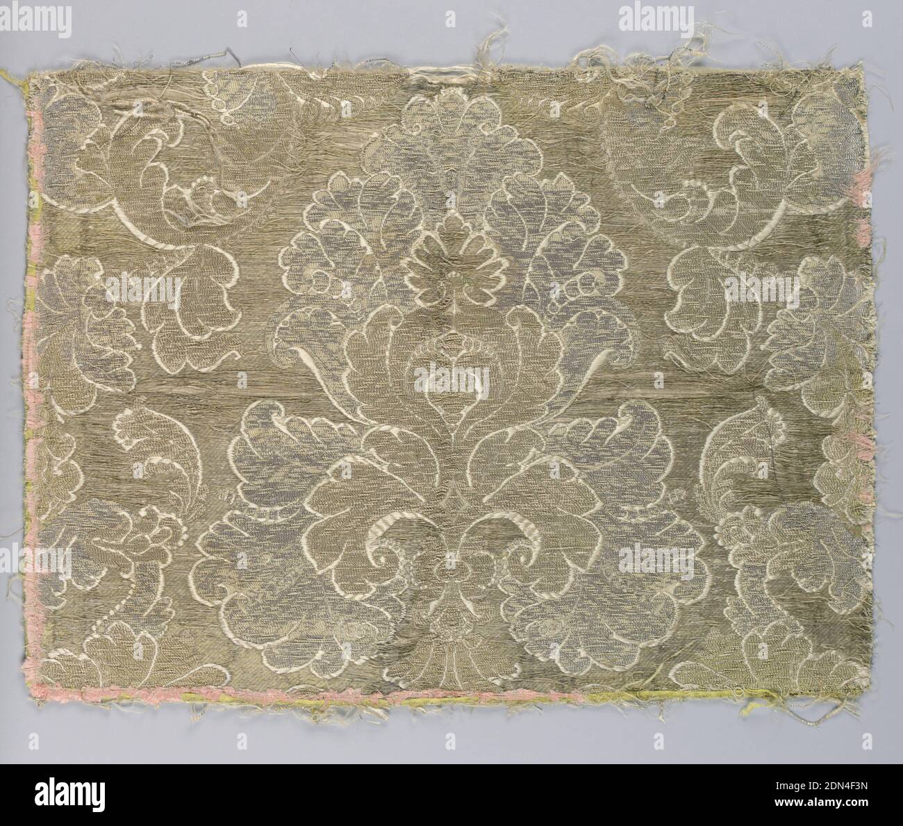 Leafy scroll frame hi-res stock photography and images - Alamy