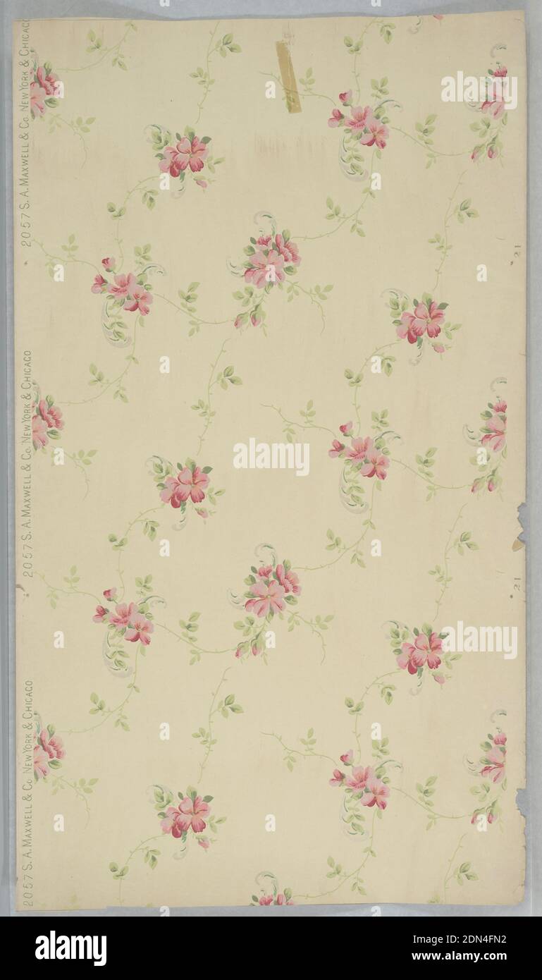 Ceiling paper, Maxwell & Co., S.A., Chicago, Illinois, USA, Machine ...