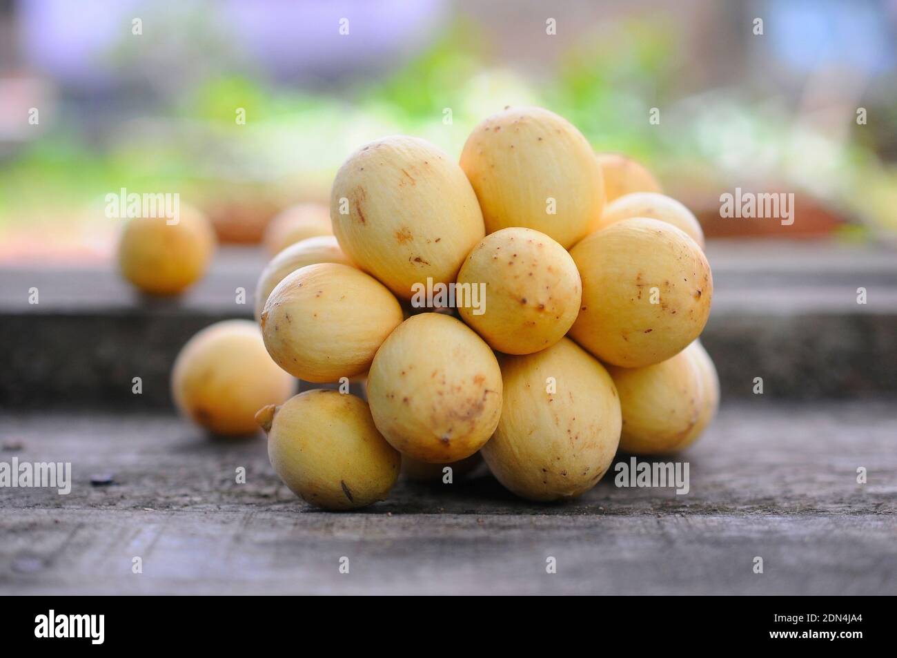 Close-up Of Lanzones Fruits On Wooden Table Background Stock Photo - Alamy