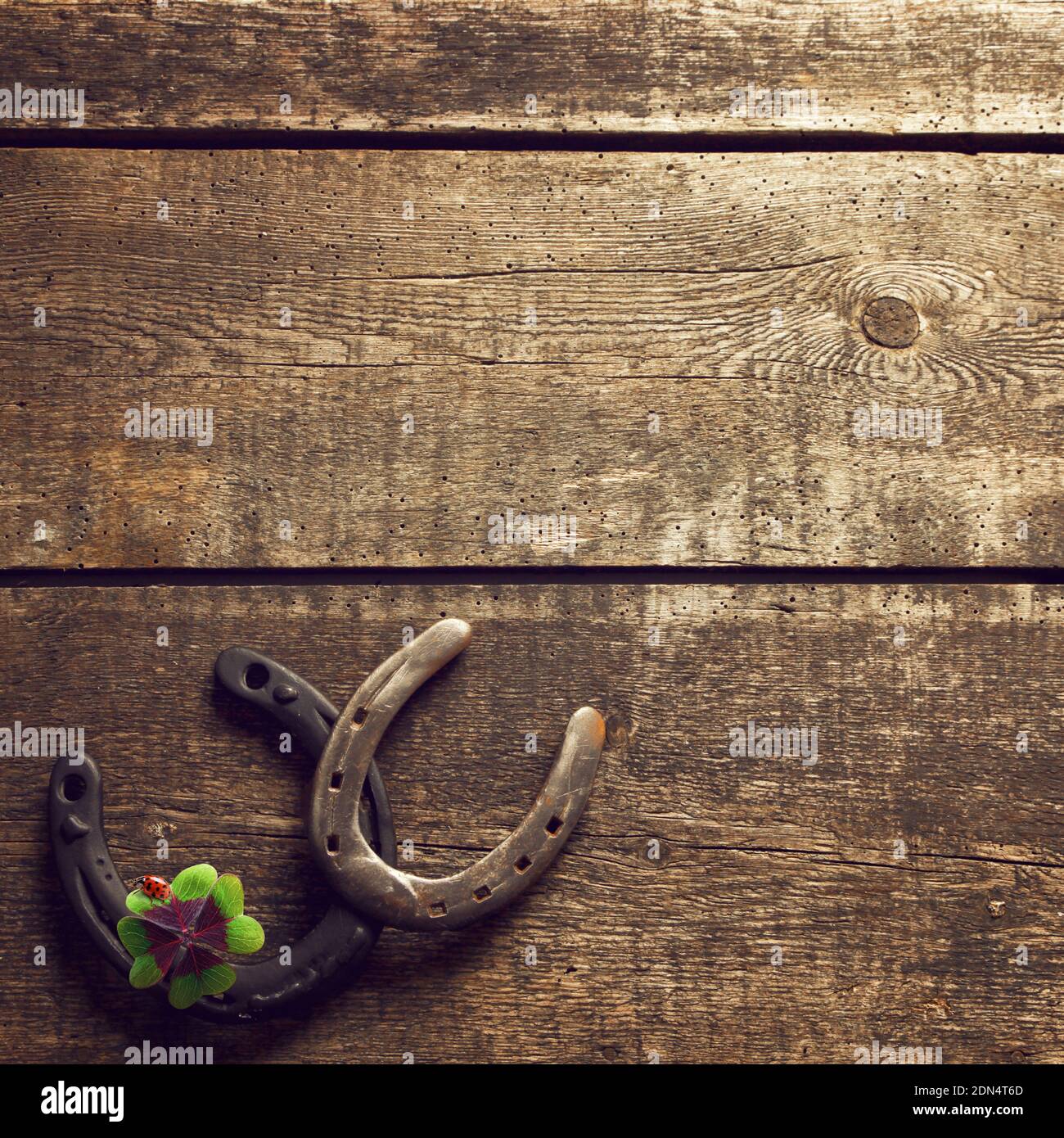 Horseshoe and concept of luck. St. Patricks Day card Stock Photo - Alamy