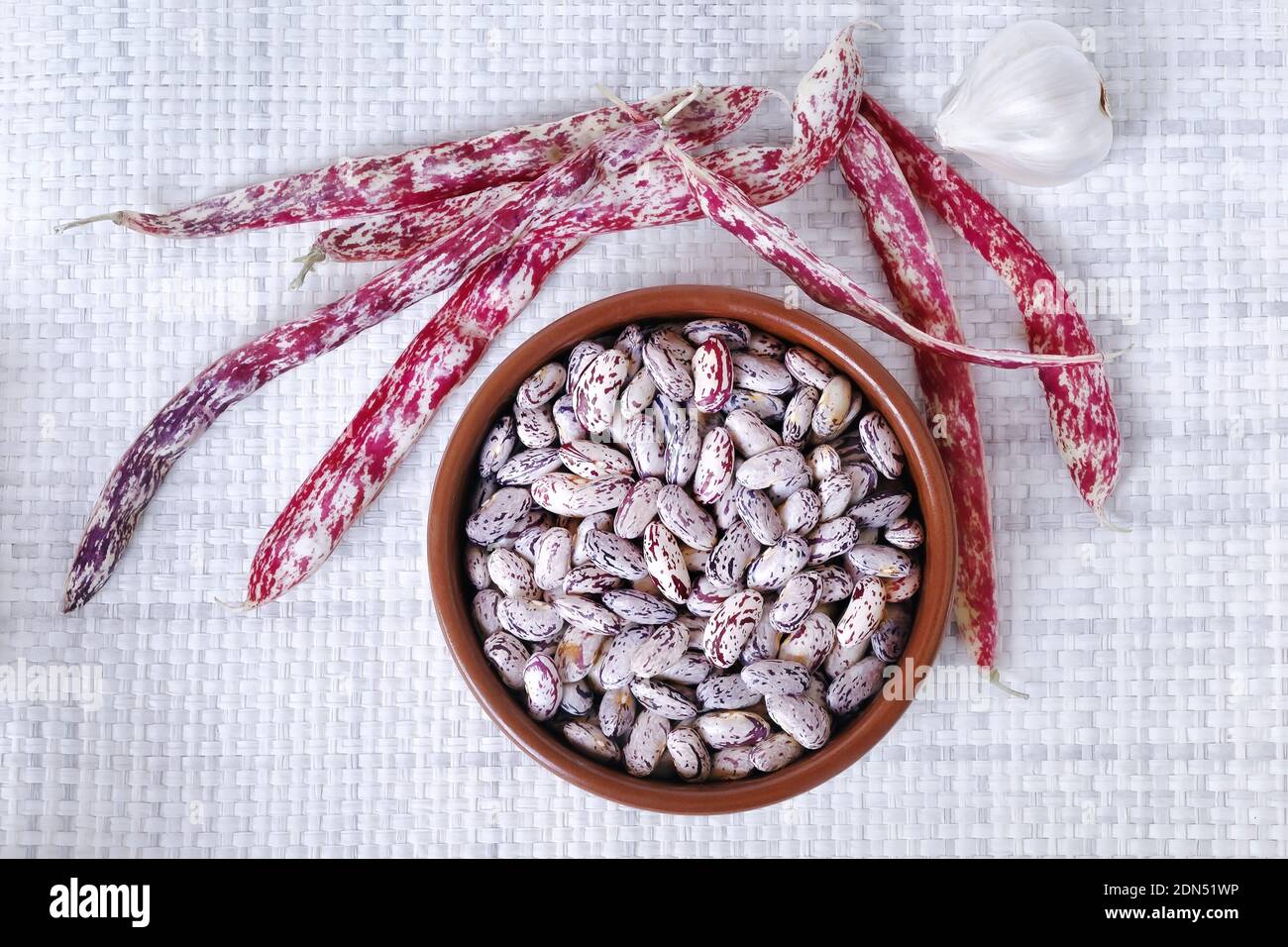 Borlotto bean plant hi-res stock photography and images - Alamy