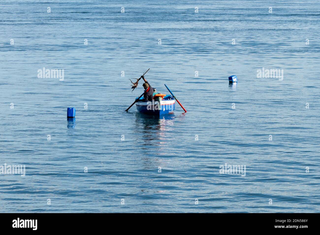 Octopus catching hi-res stock photography and images - Alamy